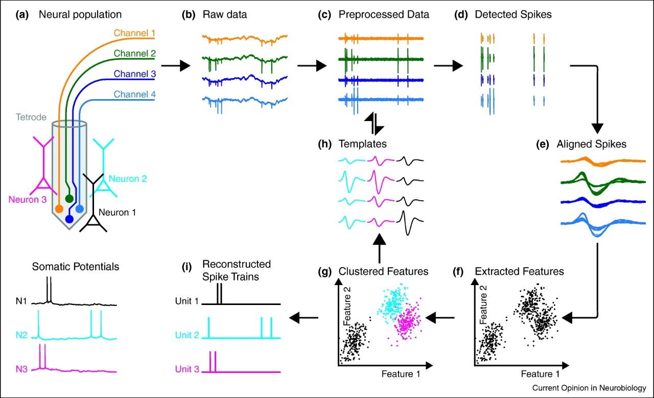 SpikeSoring简介及MountainSort工具的简要剖析 – User's Blog!