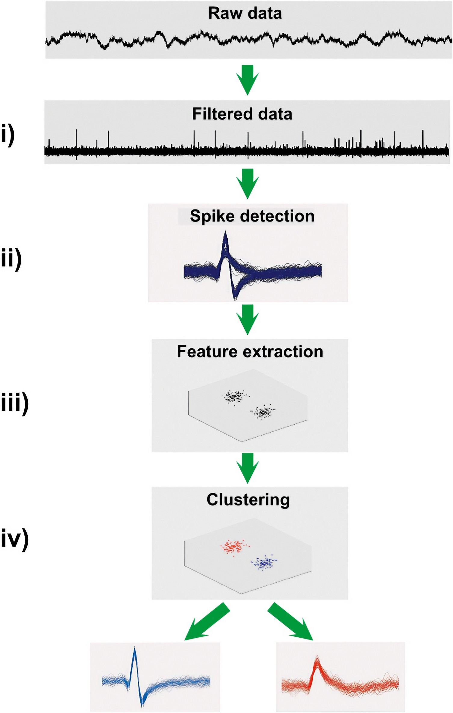 SpikeSoring简介及MountainSort工具的简要剖析 – User's Blog!